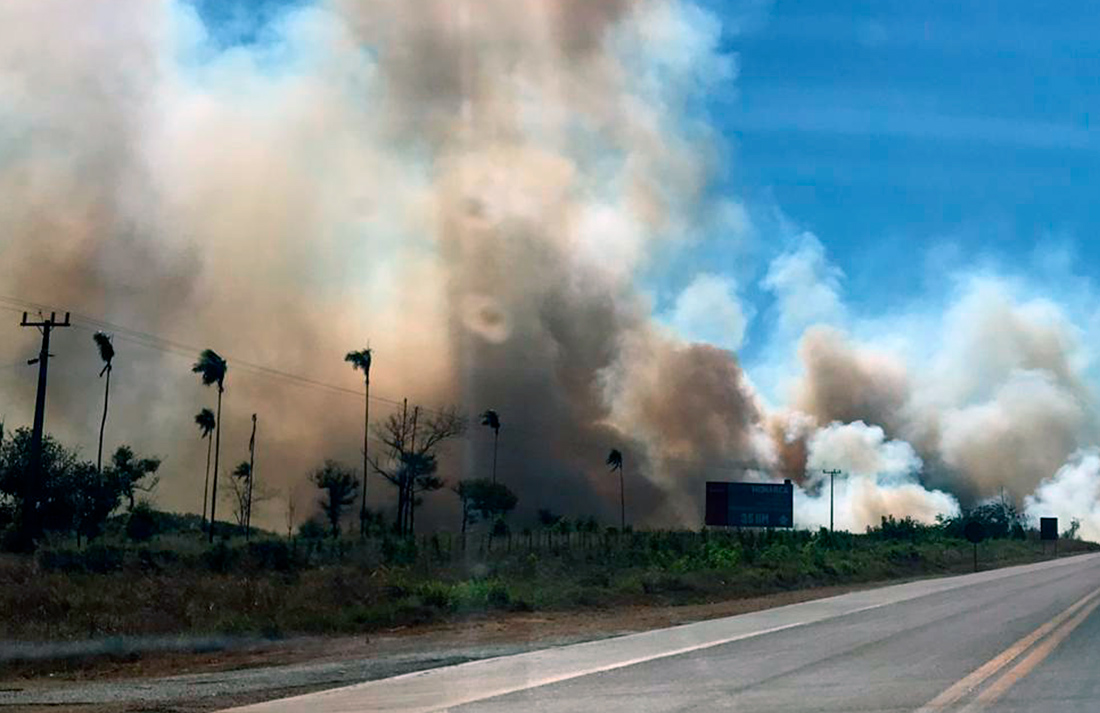 Bombeiros combatem queimada próximo da BR-163 em Sinop | Só Notícias