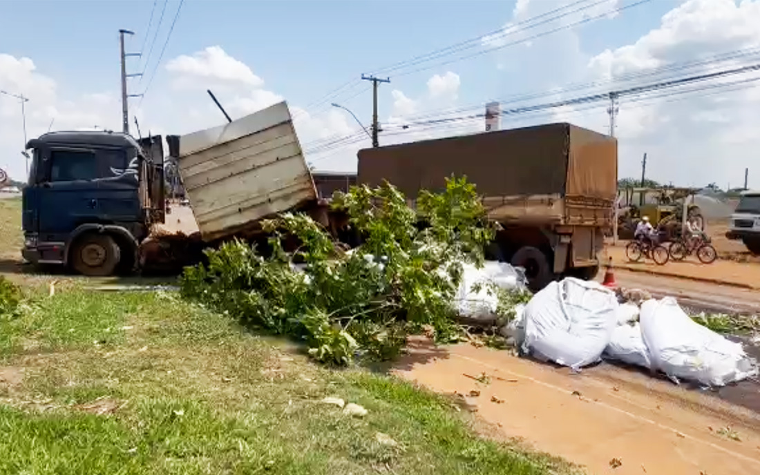 Pneu de carreta estoura, motorista perde controle, bate em poste e arranca árvore na BR-163 em ...