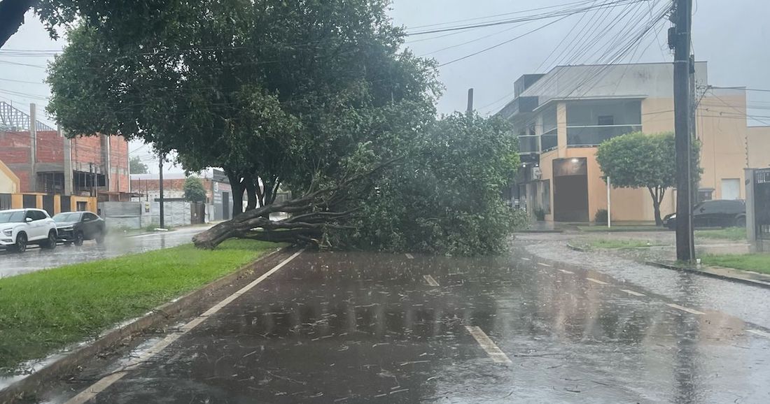 Ventos fortes e chuva causam danos em Sinop | Só Notícias