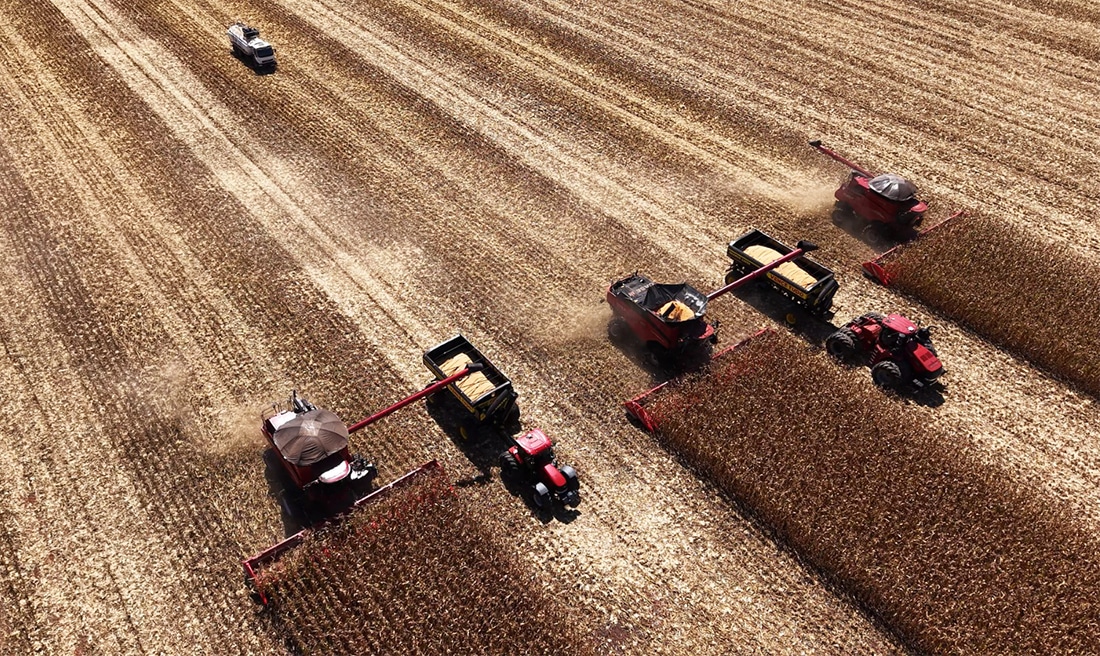 Brasil deve fechar safra de 2025 com recorde de 346 milhões de ...