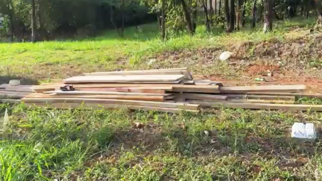 Carro fica desgovernado ao transportar “carga irregular”, sai de pista ...